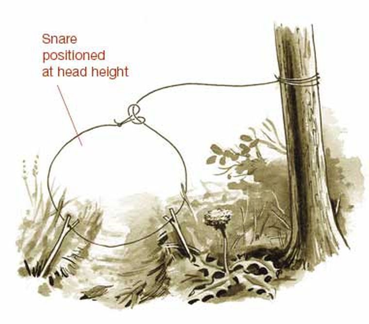 The Weapons of Warfare – Pt. 2 – The Enemy’s Activity – Karla Jo Wasion