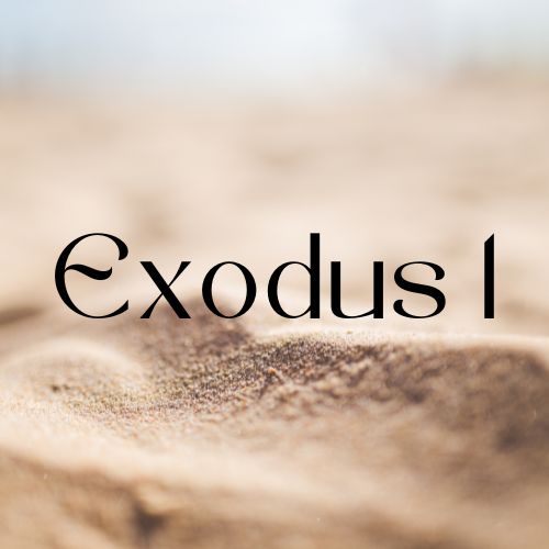 Exodus 1: Who Is Afraid of the Men? – Karla Jo Wasion